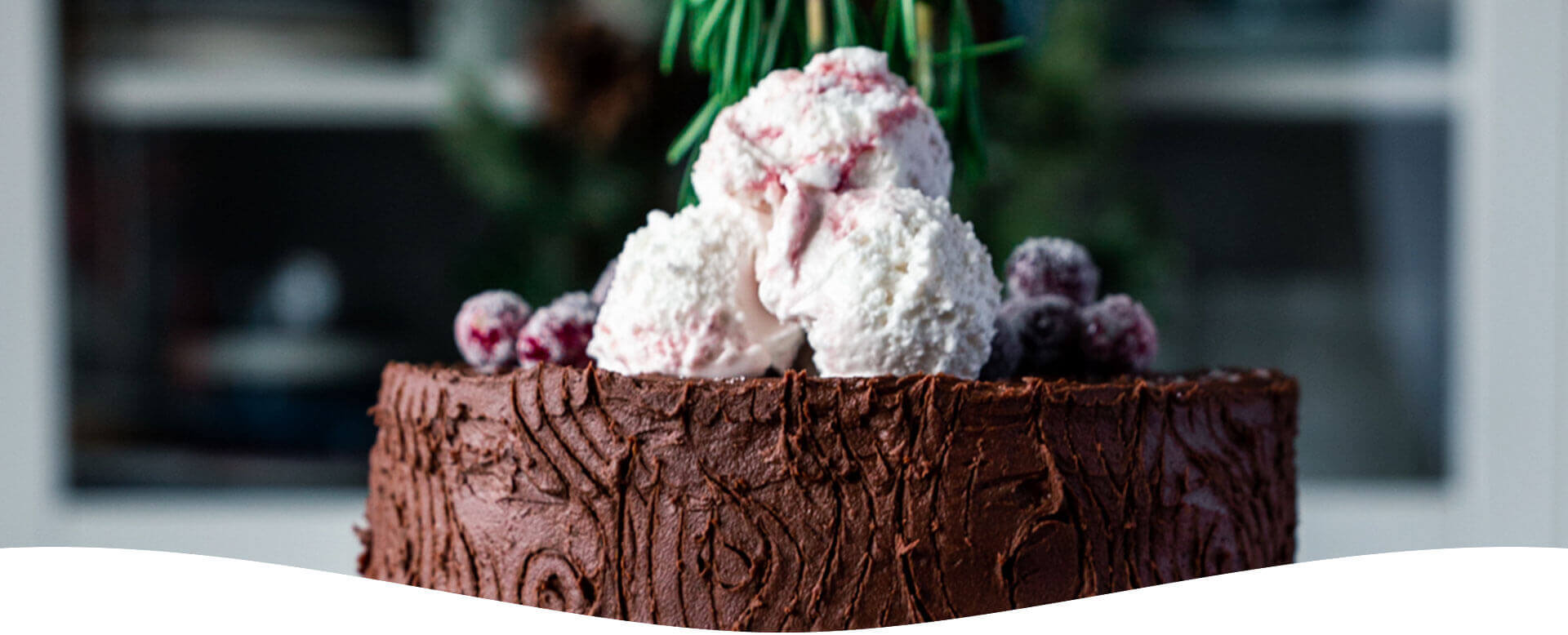 Double Chocolate Tree Stump Cake with Sugared Cranberries | So ...